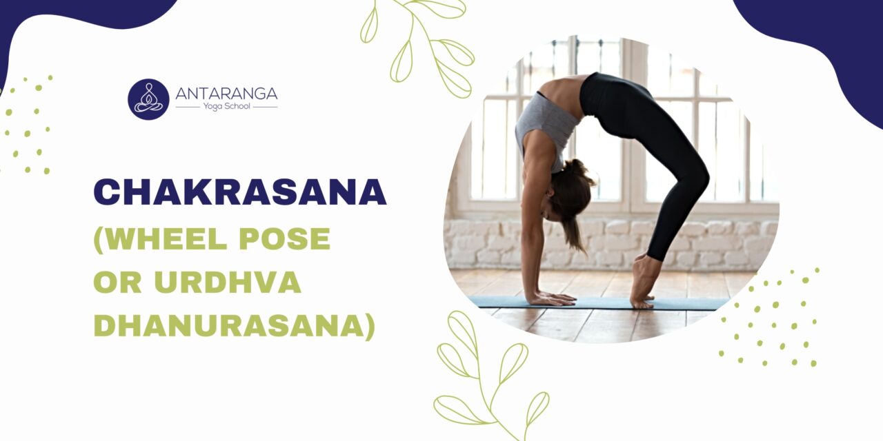 Chakrasana (Wheel Pose or Urdhva Dhanurasana)