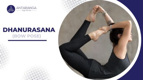 Dhanurasana (Bow Pose) - How to Do, Benefits and Variations